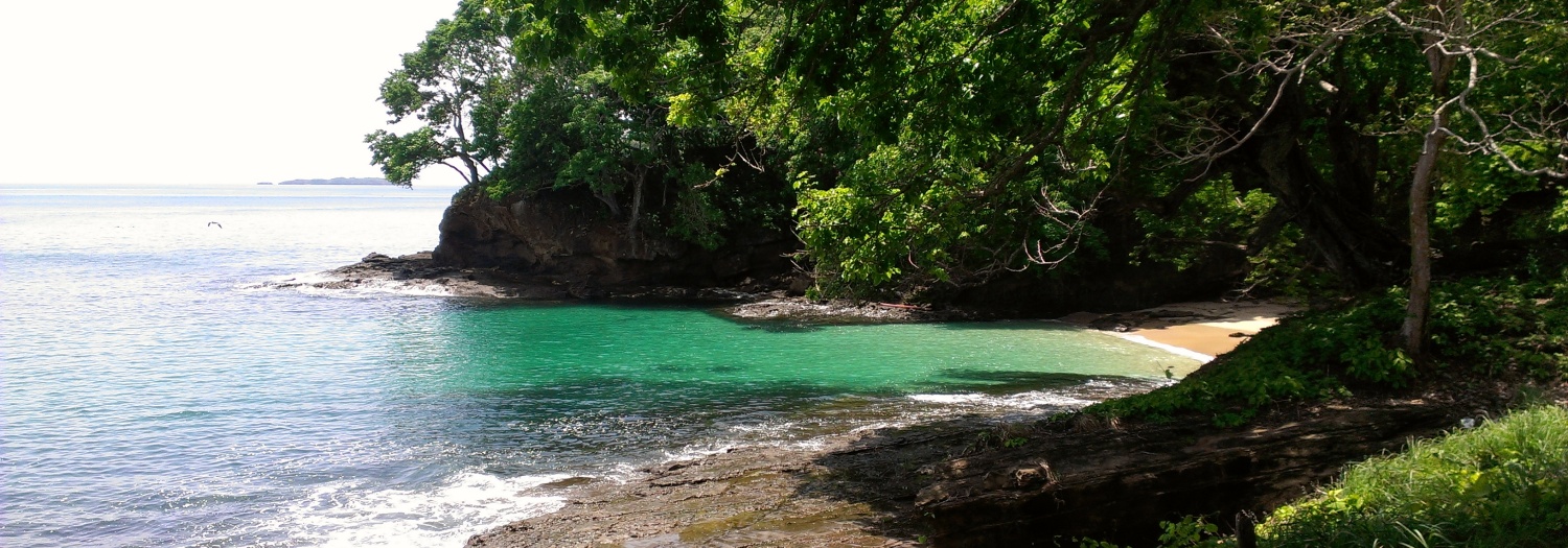 Day Tours – Saboga Vacations